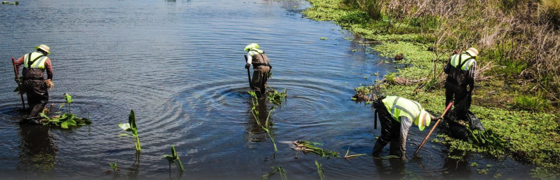 Ecosystem Restoration & Maintenance - Ground Level Inc