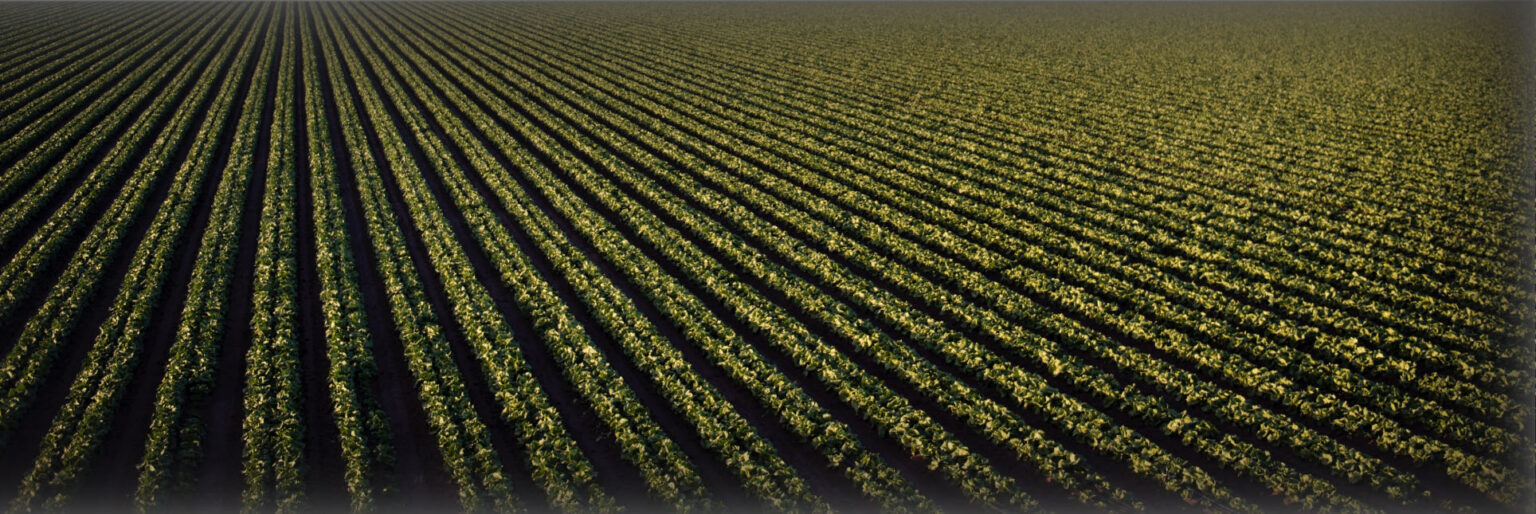 About Us - Ground Level Inc