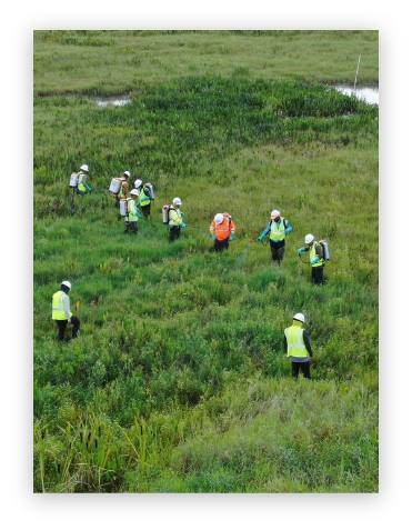 Ecosystem Restoration & Maintenance - Ground Level Inc