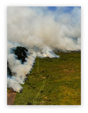 Ecosystem Restoration & Maintenance - Ground Level Inc