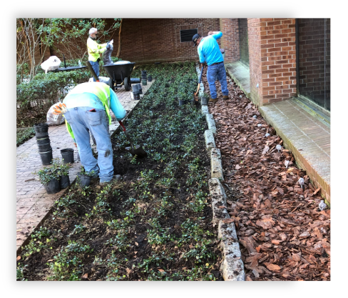 Environmental Services & Property Management - Ground Level Inc