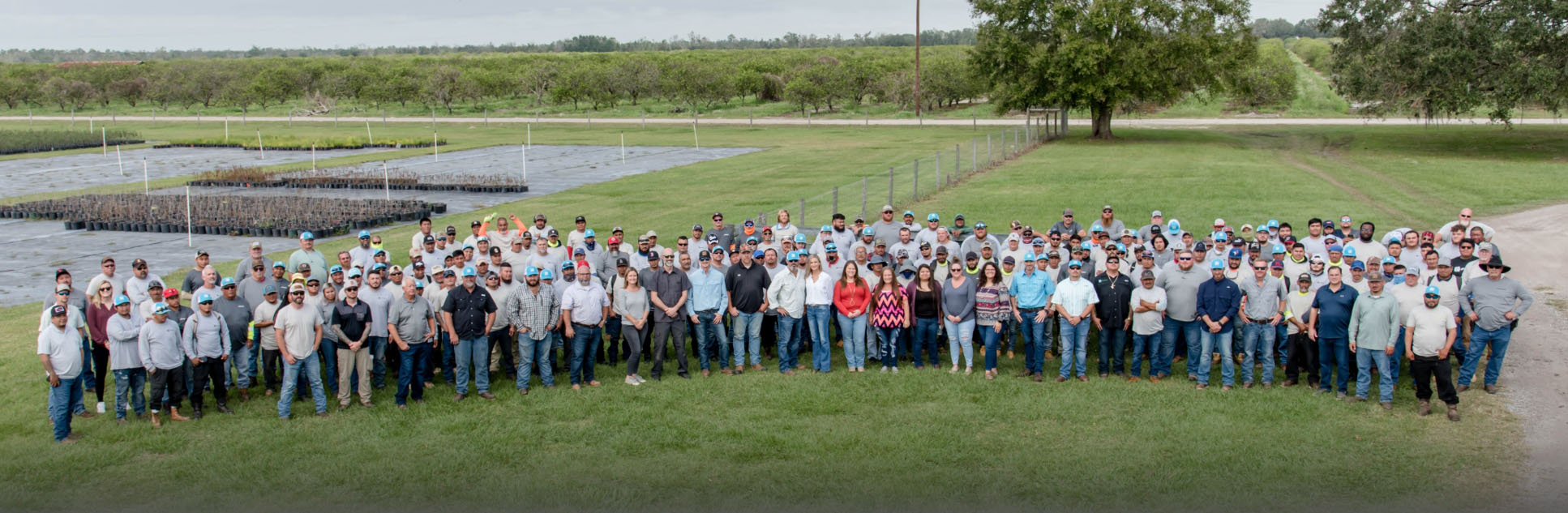 About Us - Ground Level Inc