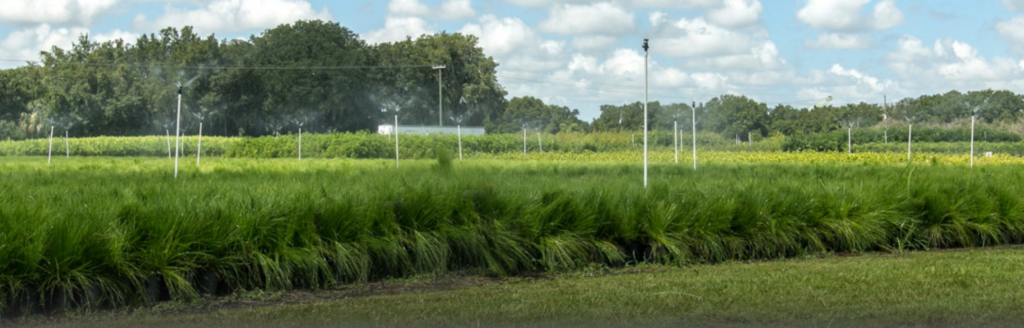 Resources - Ground Level Inc